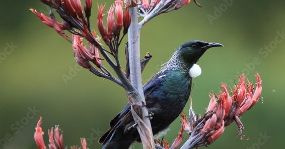 Sustainability | JK Building Wellness